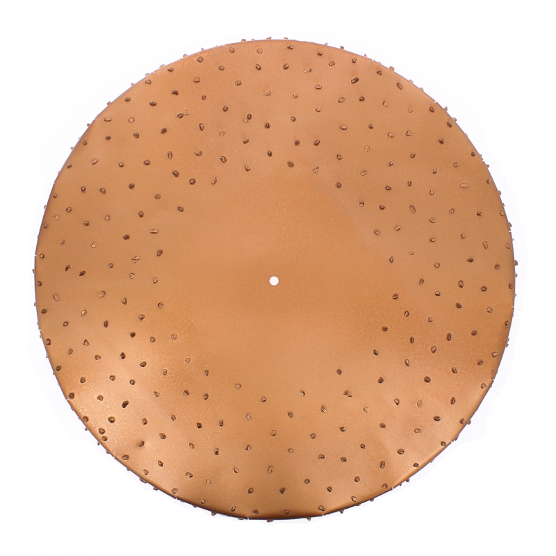 Disque métallique à bords recourbés diamètre 430 mm, grain 10 - AFS ...